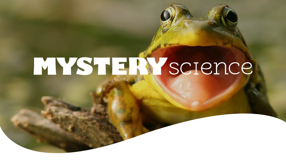 Discovery Education acquires Mystery Science | Discovery Education UK